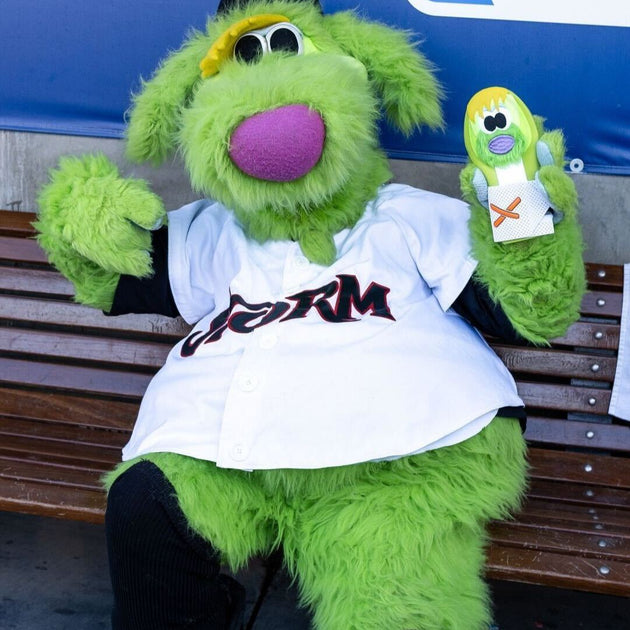 official minor league baseball collaborations – Absolutely Ridiculous ...